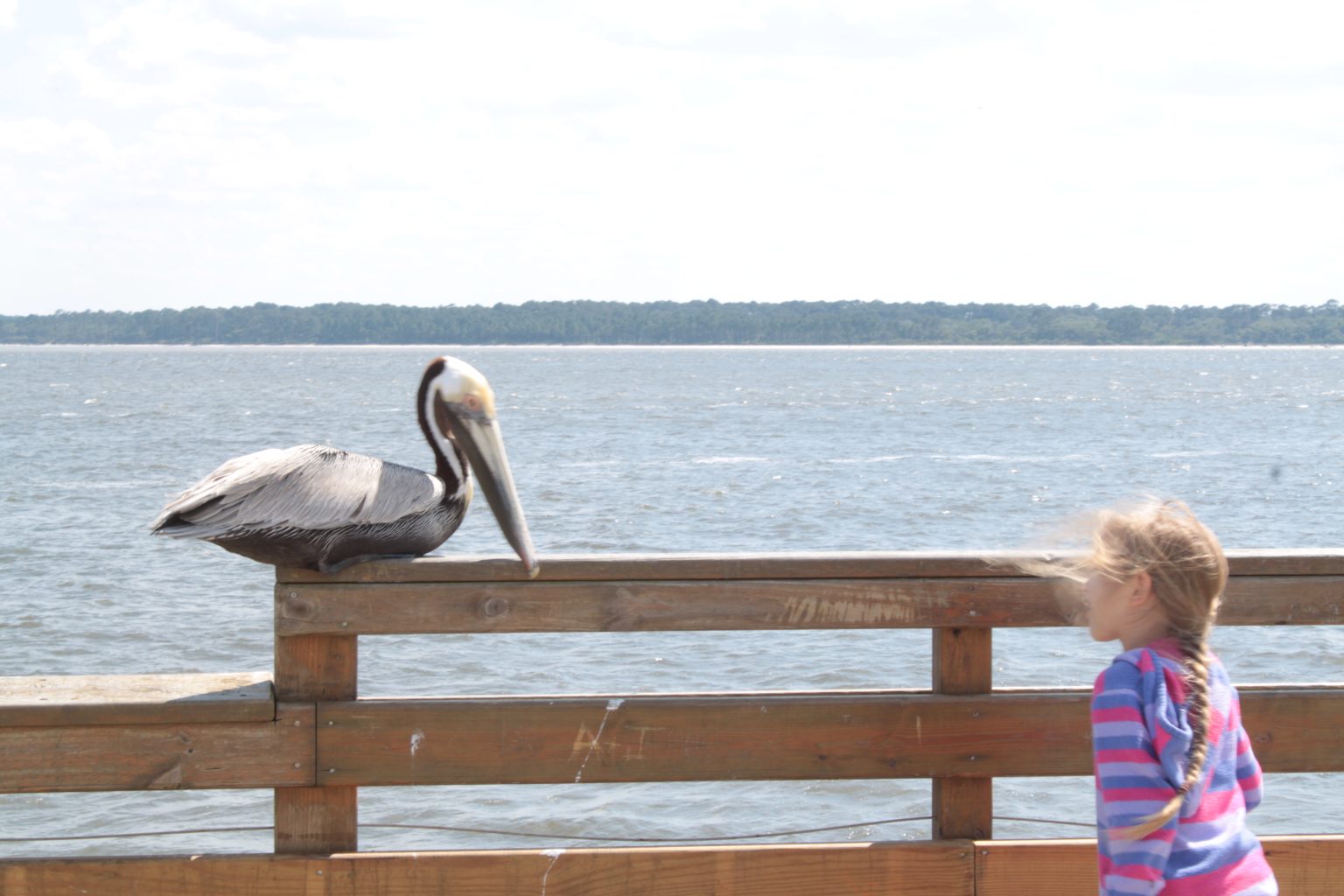 11 Kid-friendly, Family Fun Activities - St. Simons Island.com